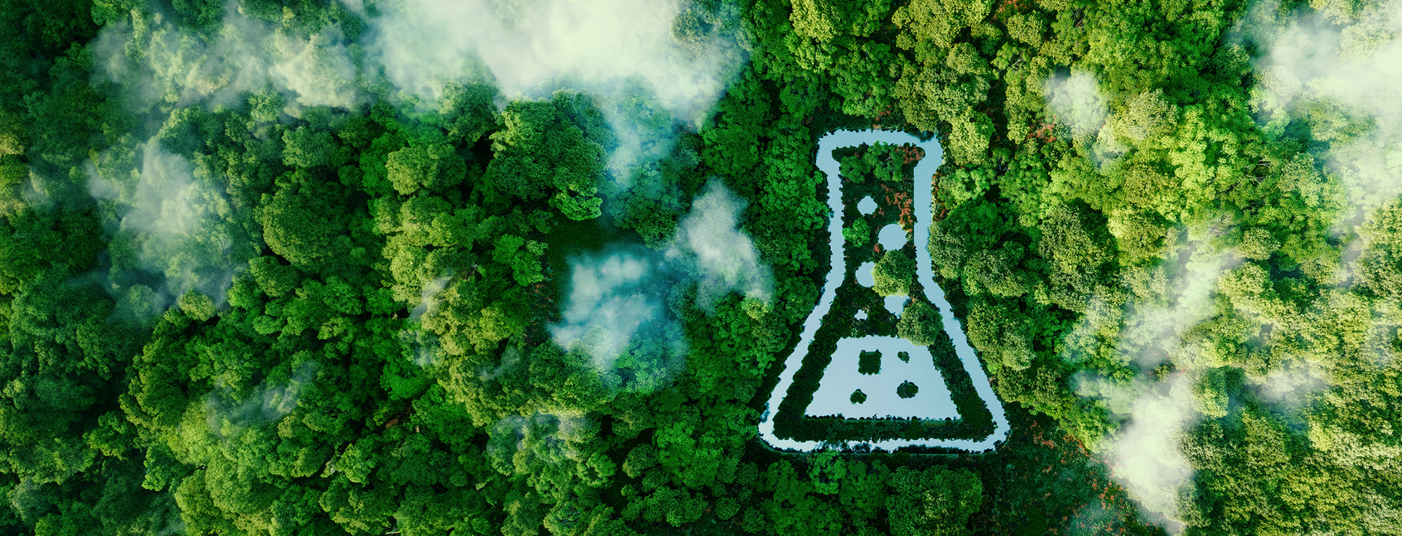 DetraPel, Inc – DetraPel, Inc.