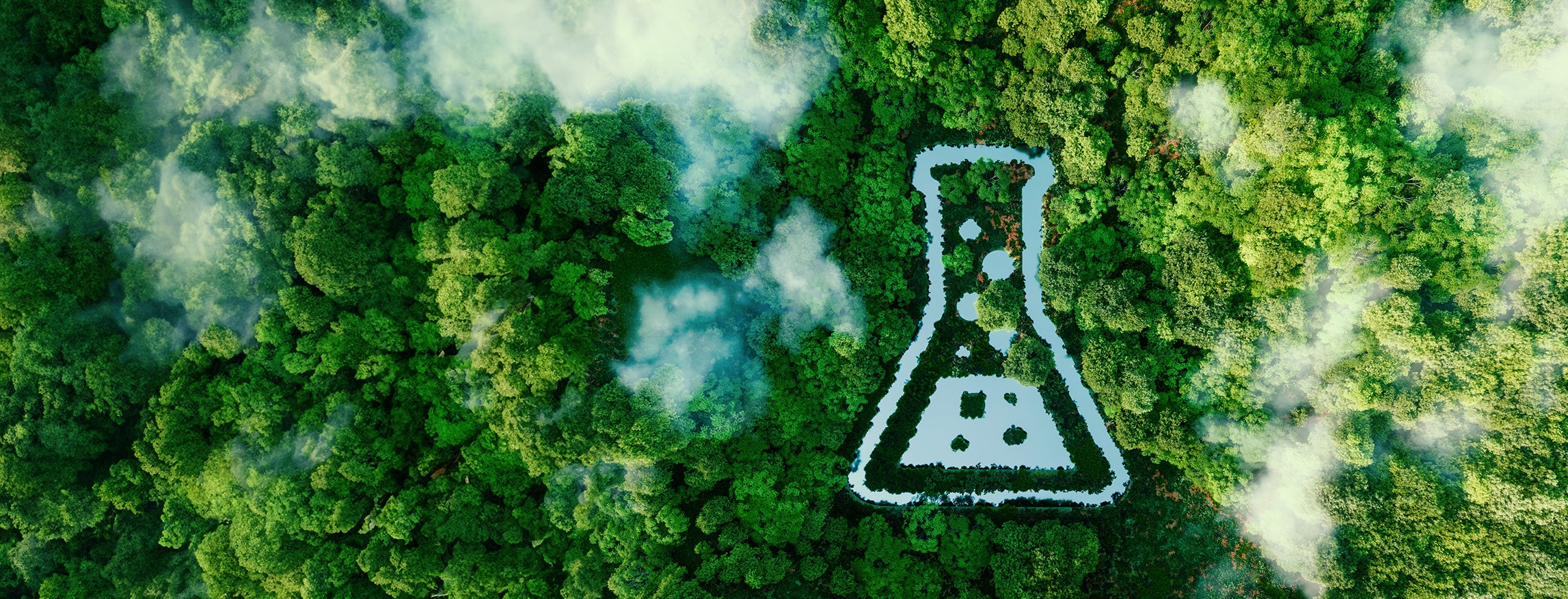 DetraPel, Inc – DetraPel, Inc.